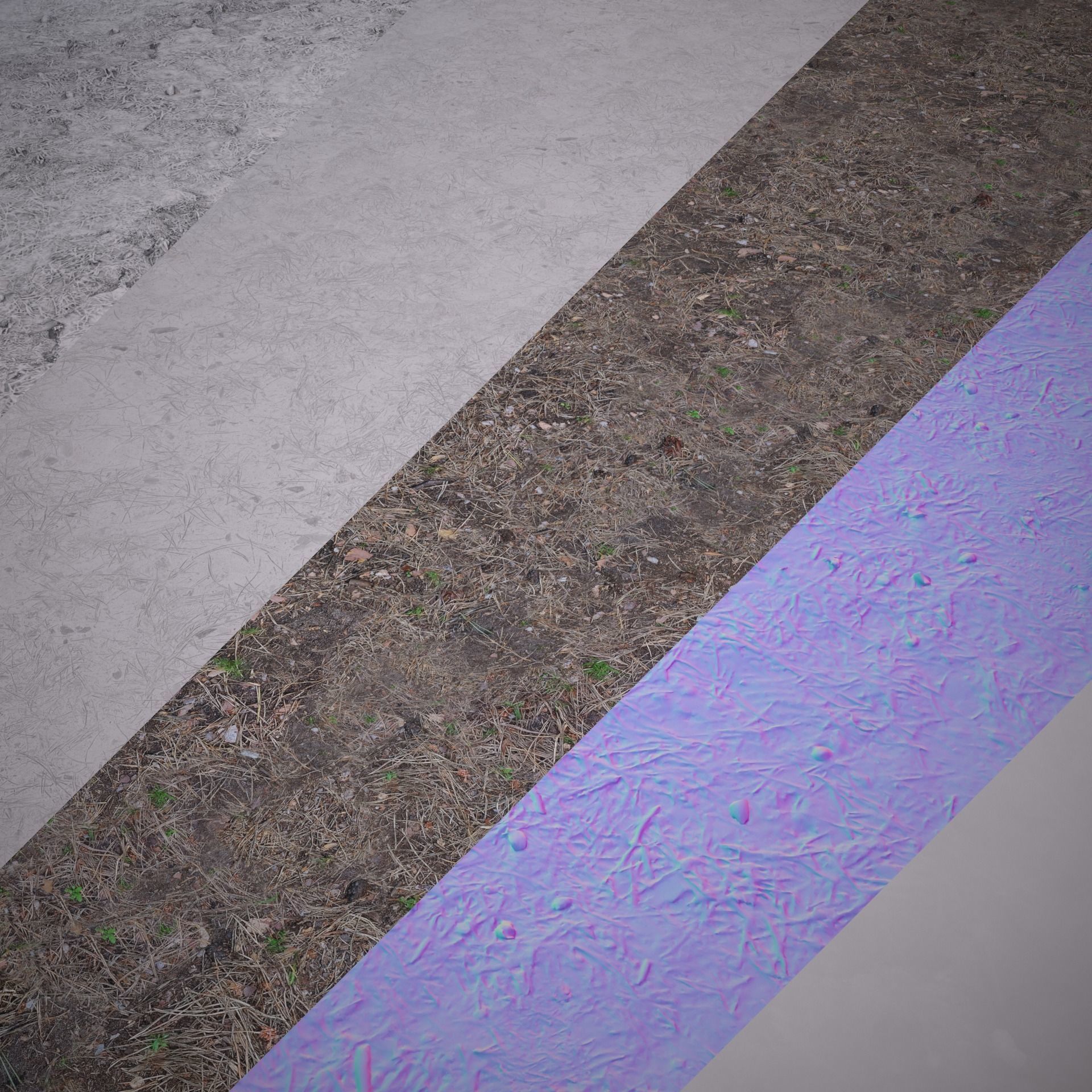 PBR earth material with pine needles Texture | CGTrader