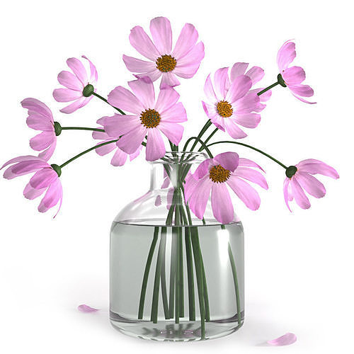 Cosmos Flowers 3D model | CGTrader