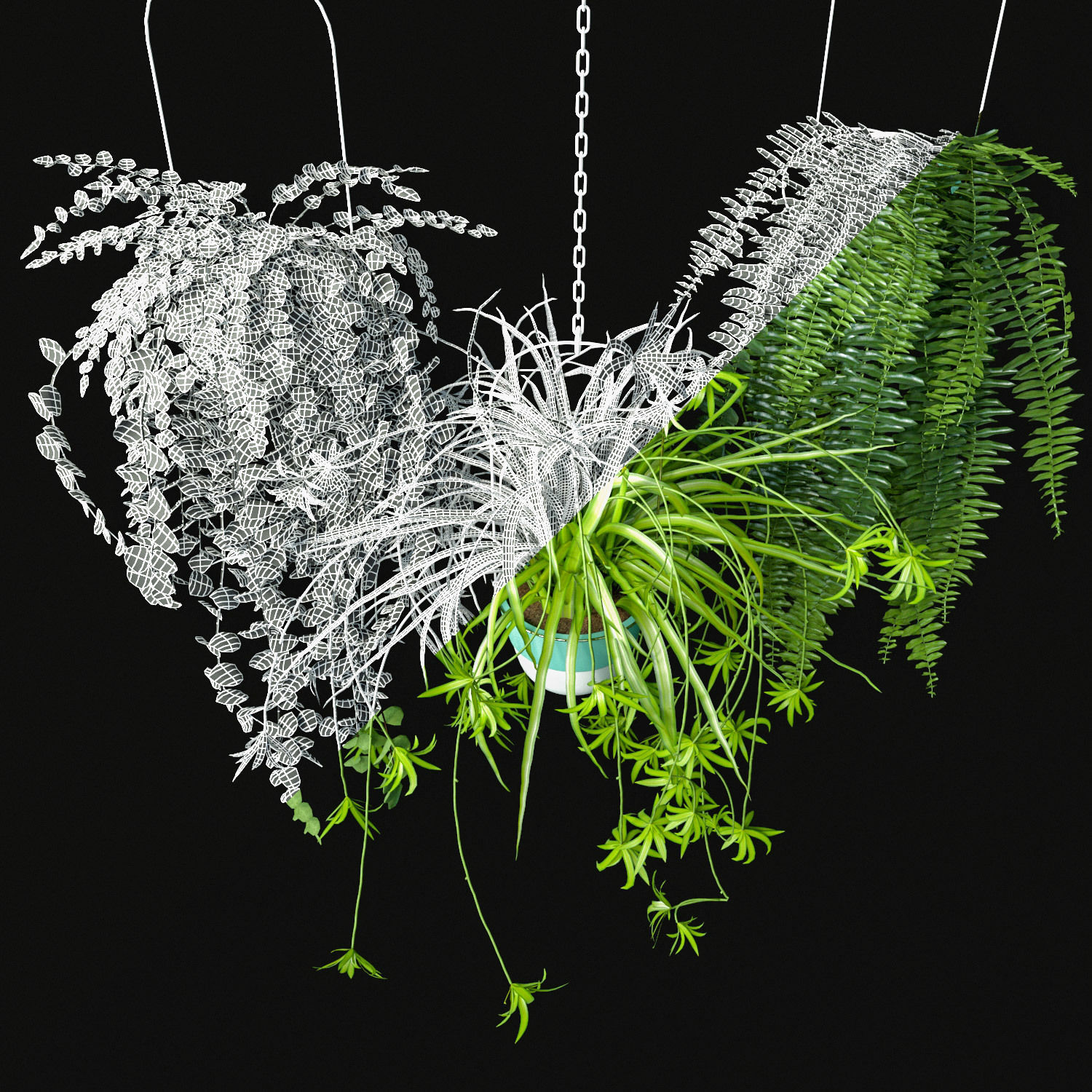 Hanging Plants Set 3D model | CGTrader
