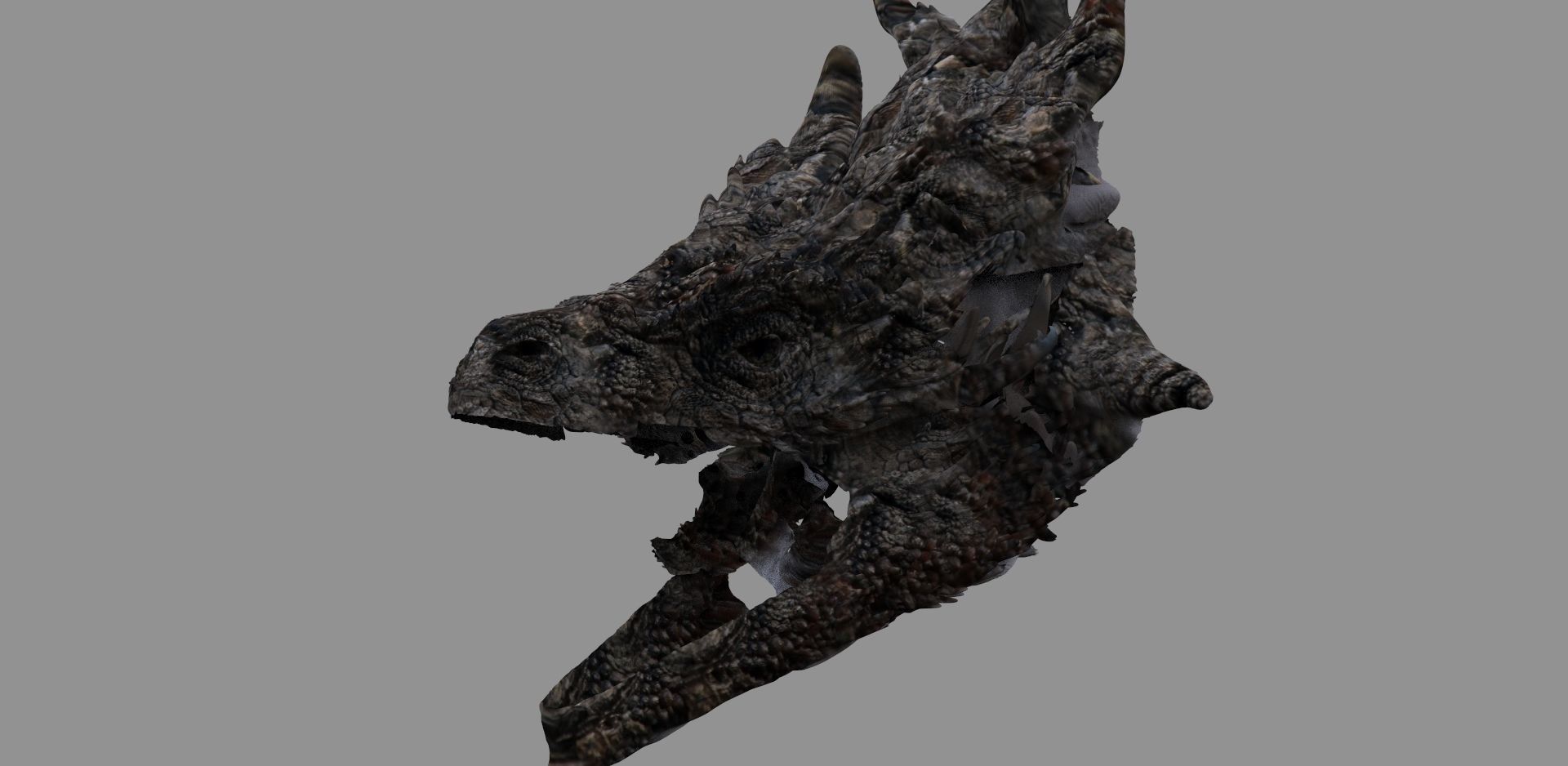 Dragon head lack rough 3D model | CGTrader