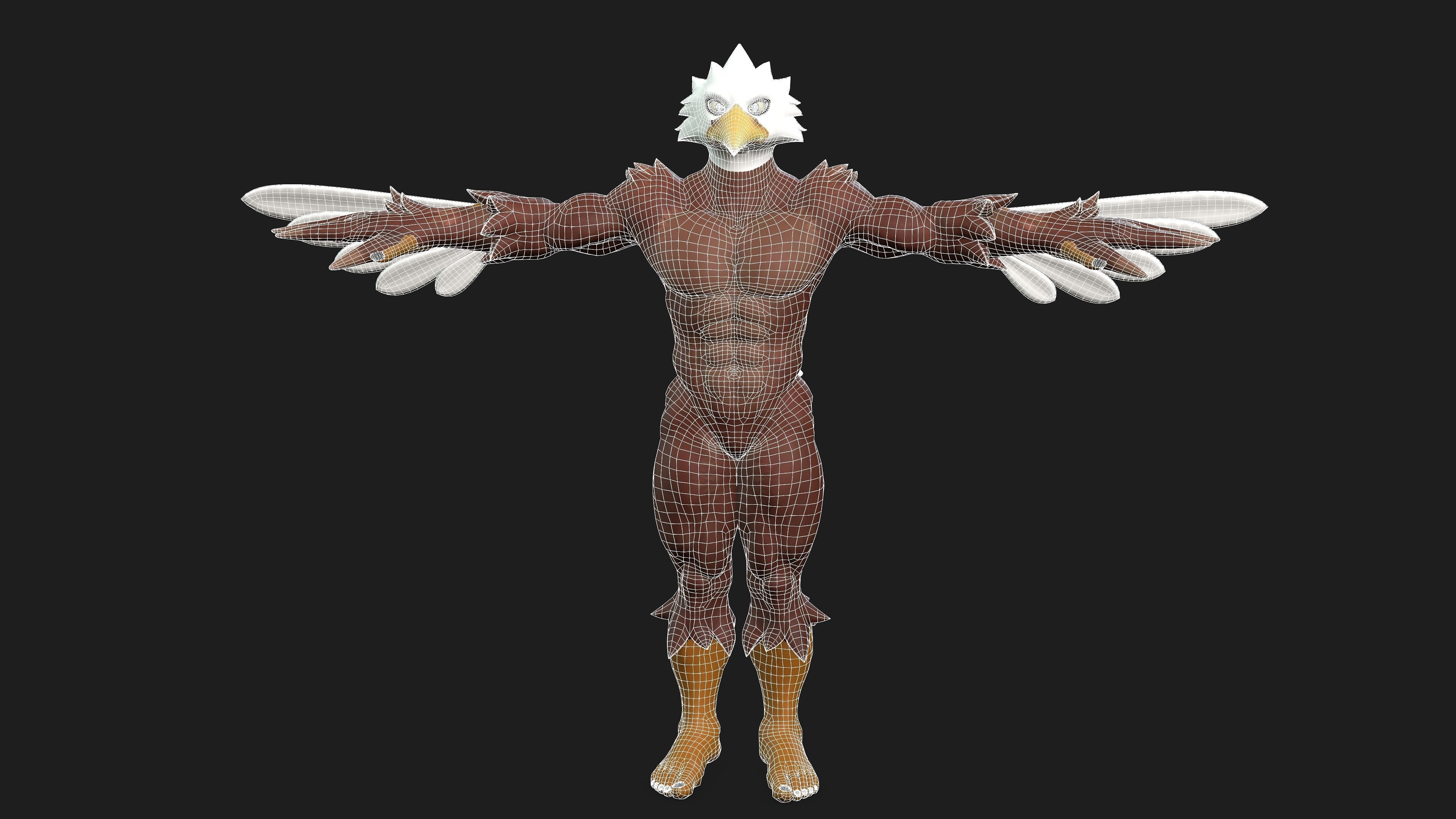 Toon Eagle 3D model animated rigged | CGTrader