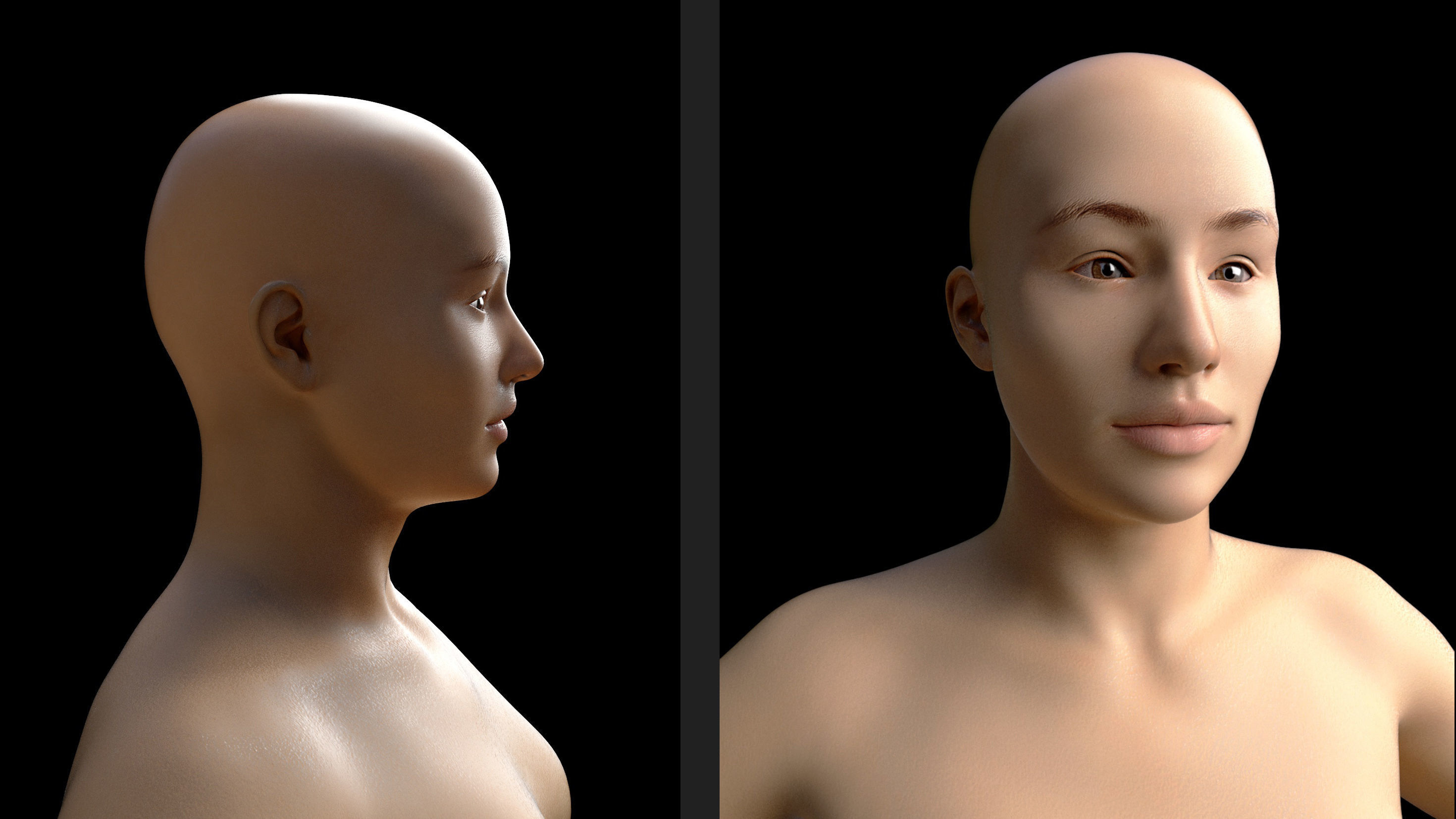 Human Anatomy woman 3D model rigged | CGTrader