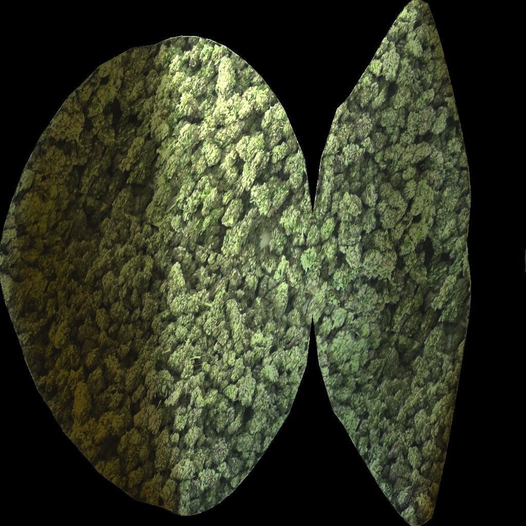 3D model Bag of weed VR / AR / low-poly | CGTrader