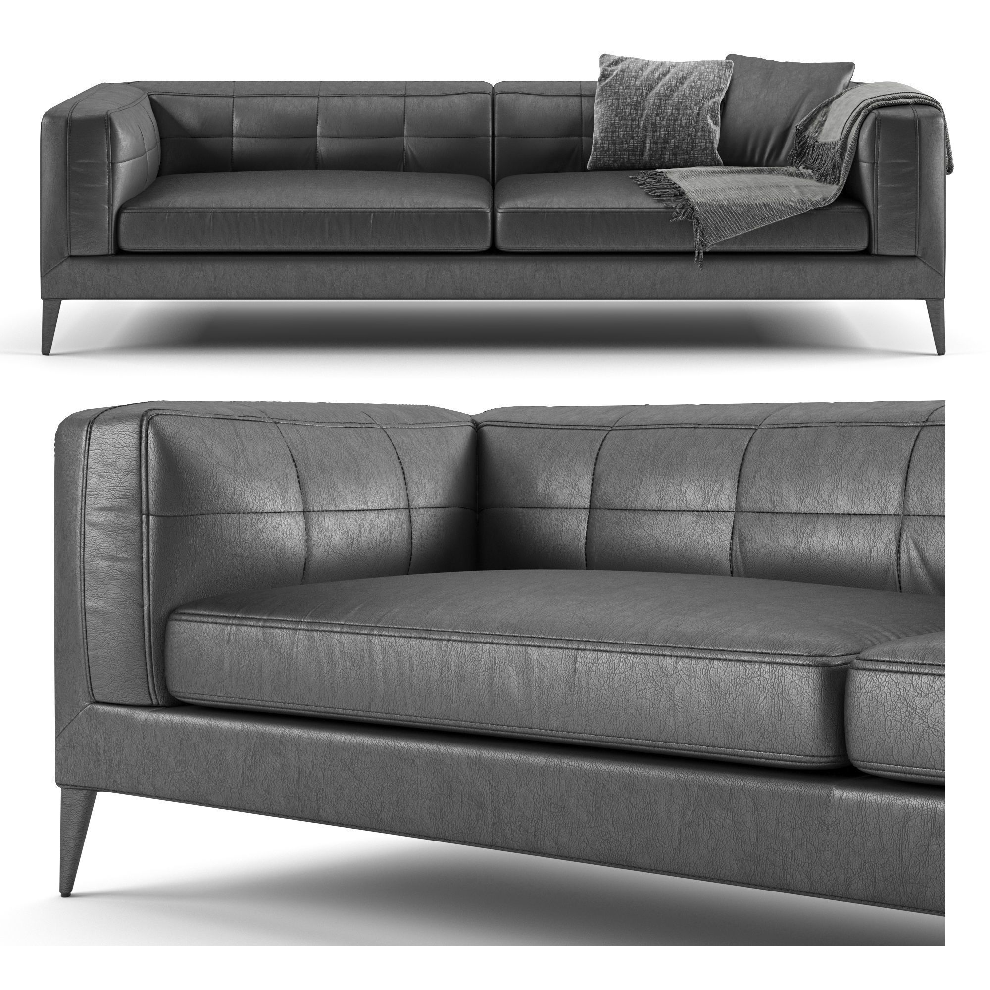 Dives Soft BeBitalia 3D model | CGTrader