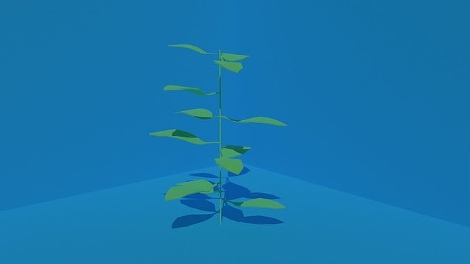 Simple Plant free VR / AR / low-poly 3D model | CGTrader
