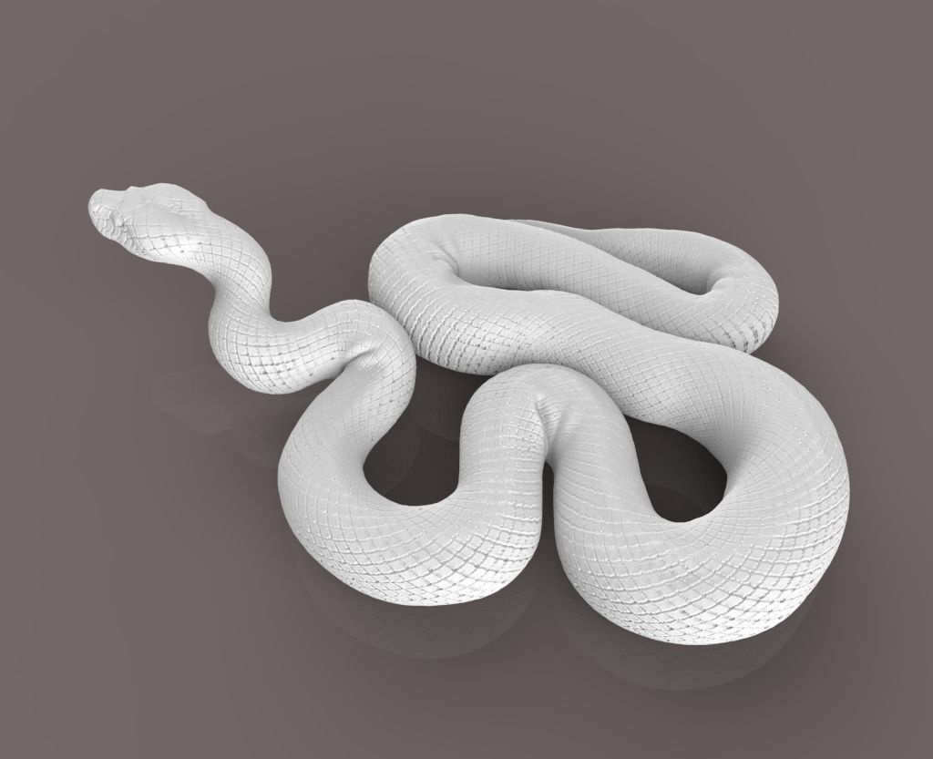 anaconda snake 3D model 3D printable | CGTrader
