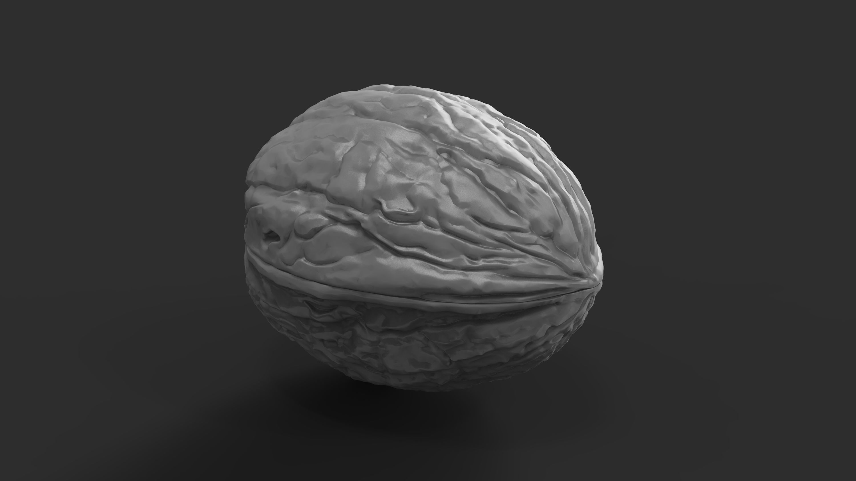 Walnut 3D model 3D printable | CGTrader