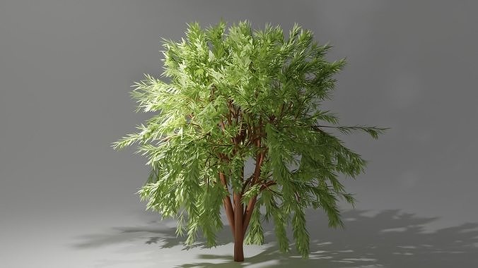 3D model Tree Model willow VR / AR / low-poly | CGTrader
