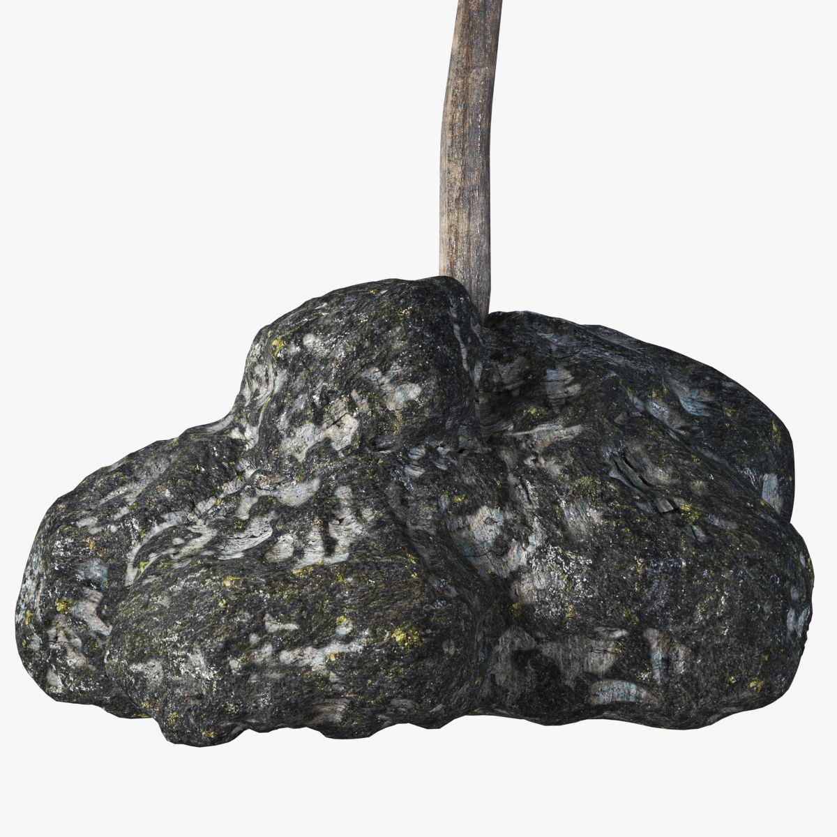 Shrunken head 3D model | CGTrader