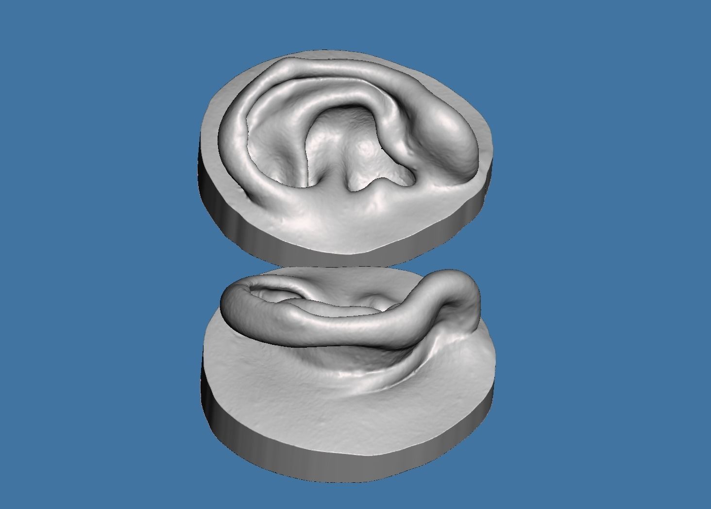 Natural human ear anatomy 10yrs boy 3D model 3D printable | CGTrader