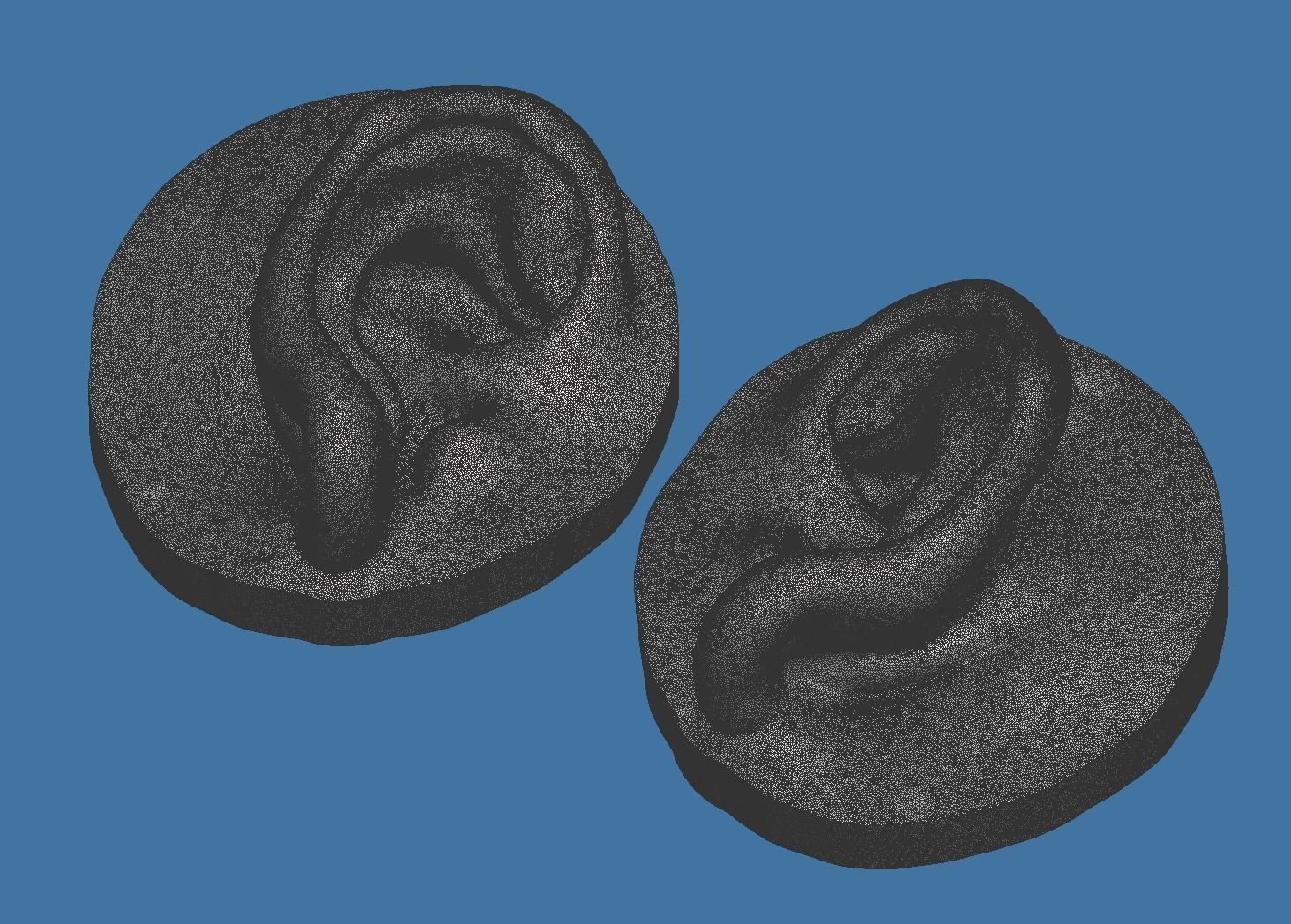 Natural human ear anatomy 10yrs boy 3D model 3D printable | CGTrader