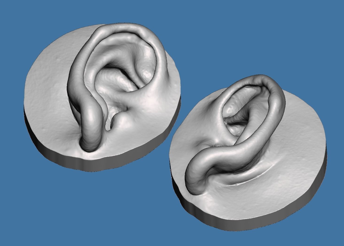 Natural human ear anatomy 10yrs boy 3D model 3D printable | CGTrader