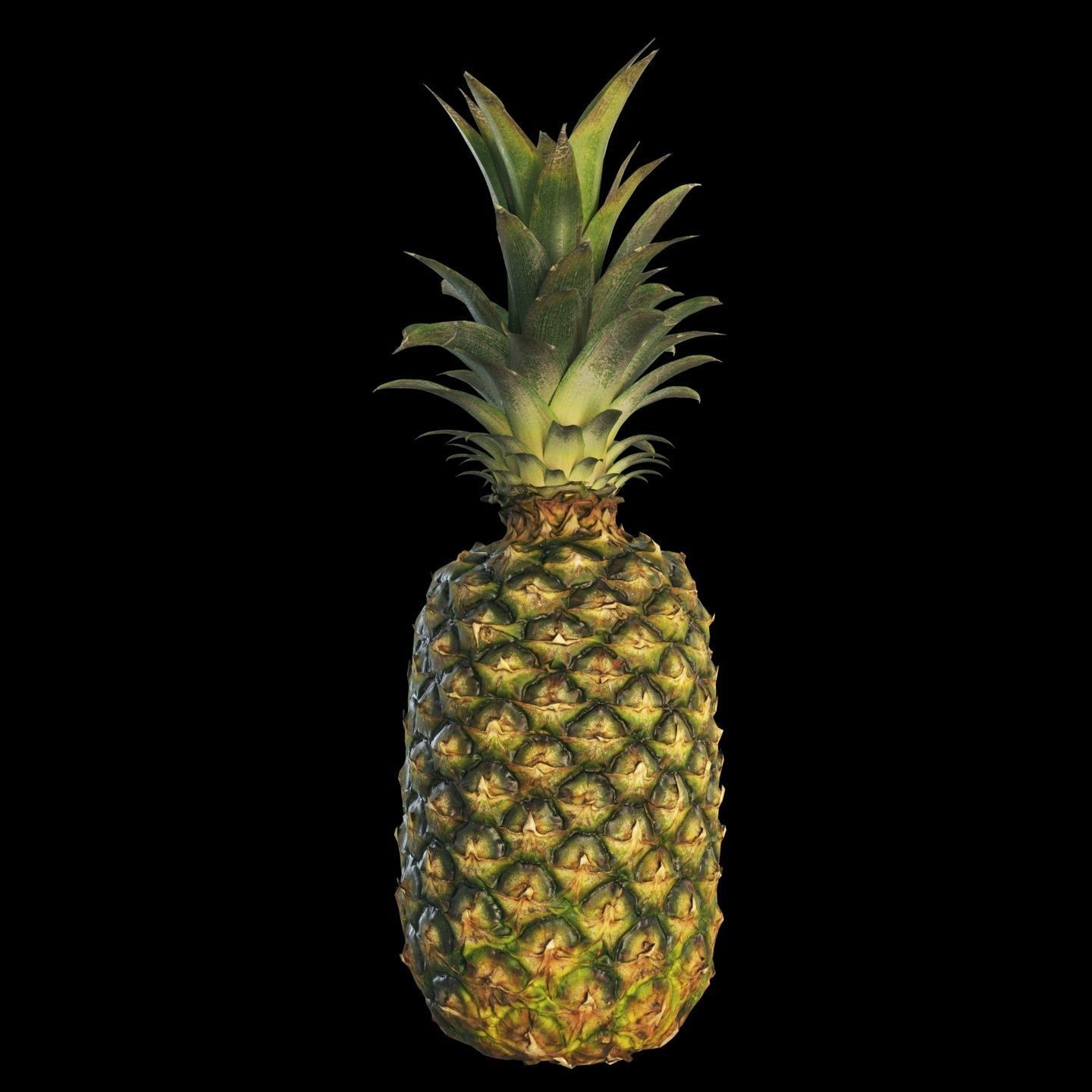 4k Pineapple 3D model | CGTrader