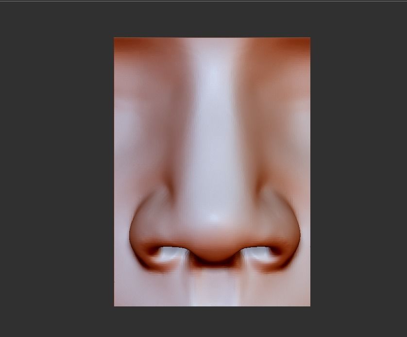 Human nose model It can be printed in 3D Organ nose 3D model 3D ...