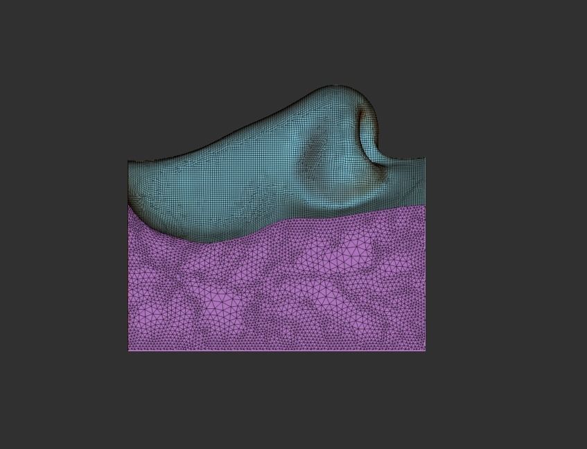 Human nose model It can be printed in 3D Organ nose 3D model 3D ...