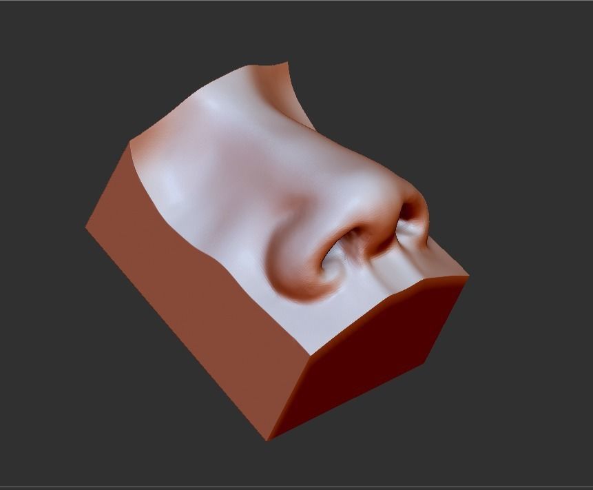 Human nose model It can be printed in 3D Organ nose 3D model 3D ...