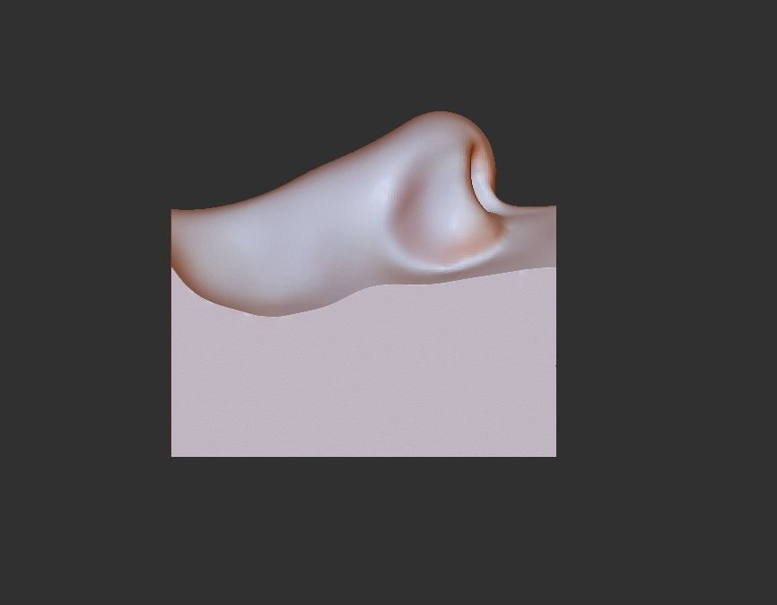 Human nose model It can be printed in 3D Organ nose 3D model 3D ...