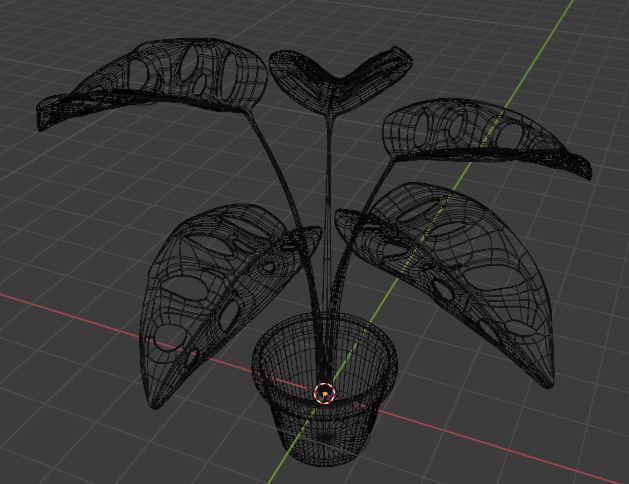 Swiss Cheese Plant 3D Model 3D model | CGTrader