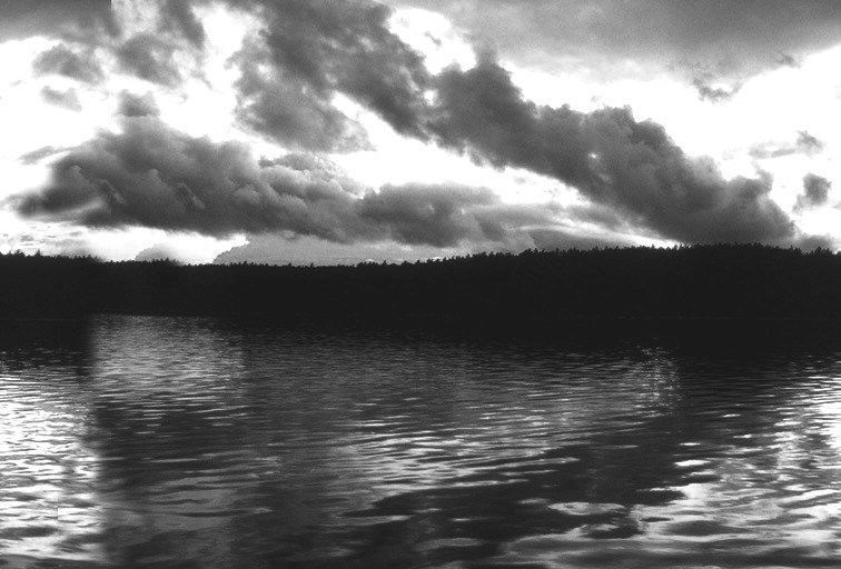 Merck Stand 3D 3D model | CGTrader