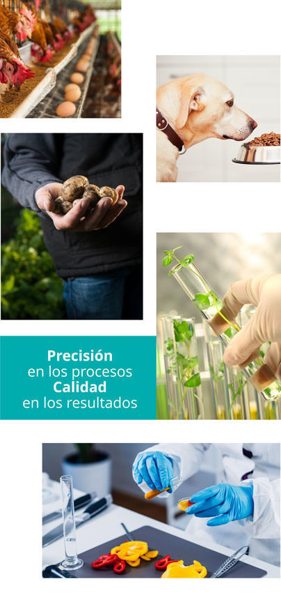 Merck Stand 3D 3D model | CGTrader