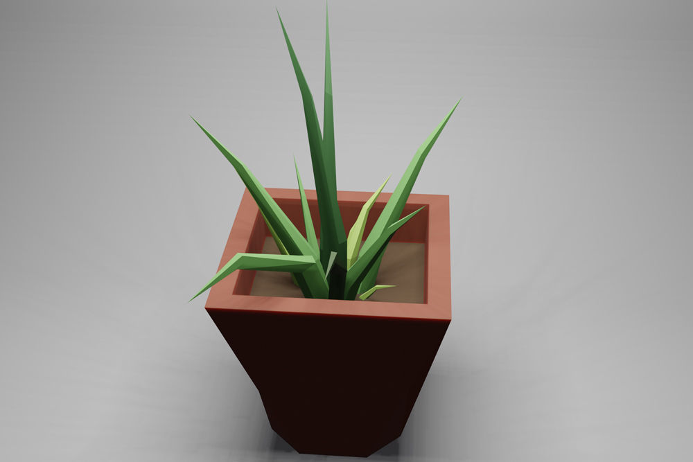 Low Poly Flower Pot free 3D model | CGTrader