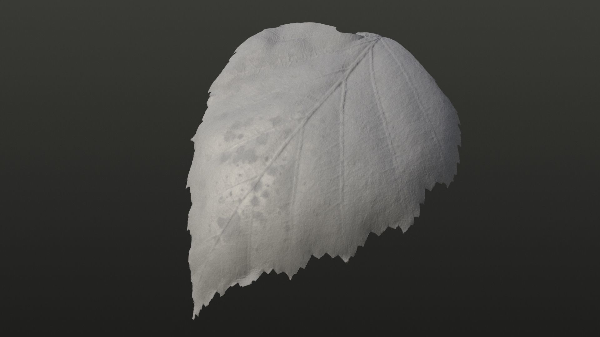 Betula pendula Autumn leaves texture Texture | CGTrader