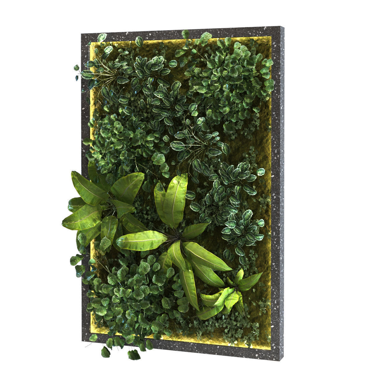 3D model green wall set 086 VR / AR / low-poly | CGTrader