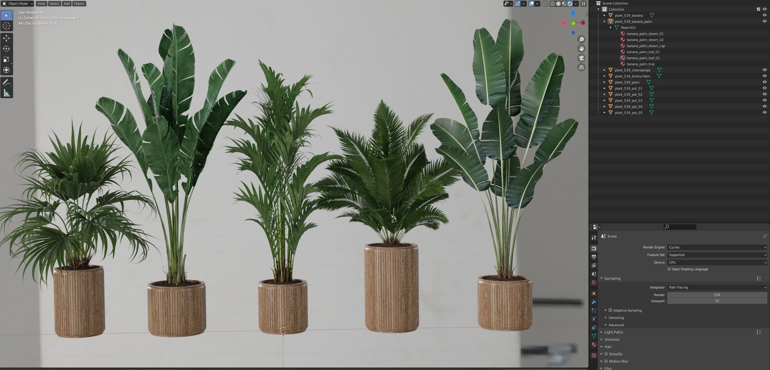 Plants collection 539 3D model | CGTrader
