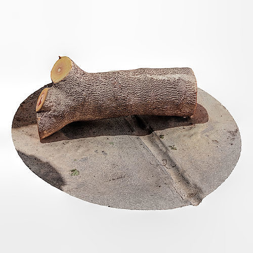 3D model tree trunk 2 VR / AR / low-poly | CGTrader