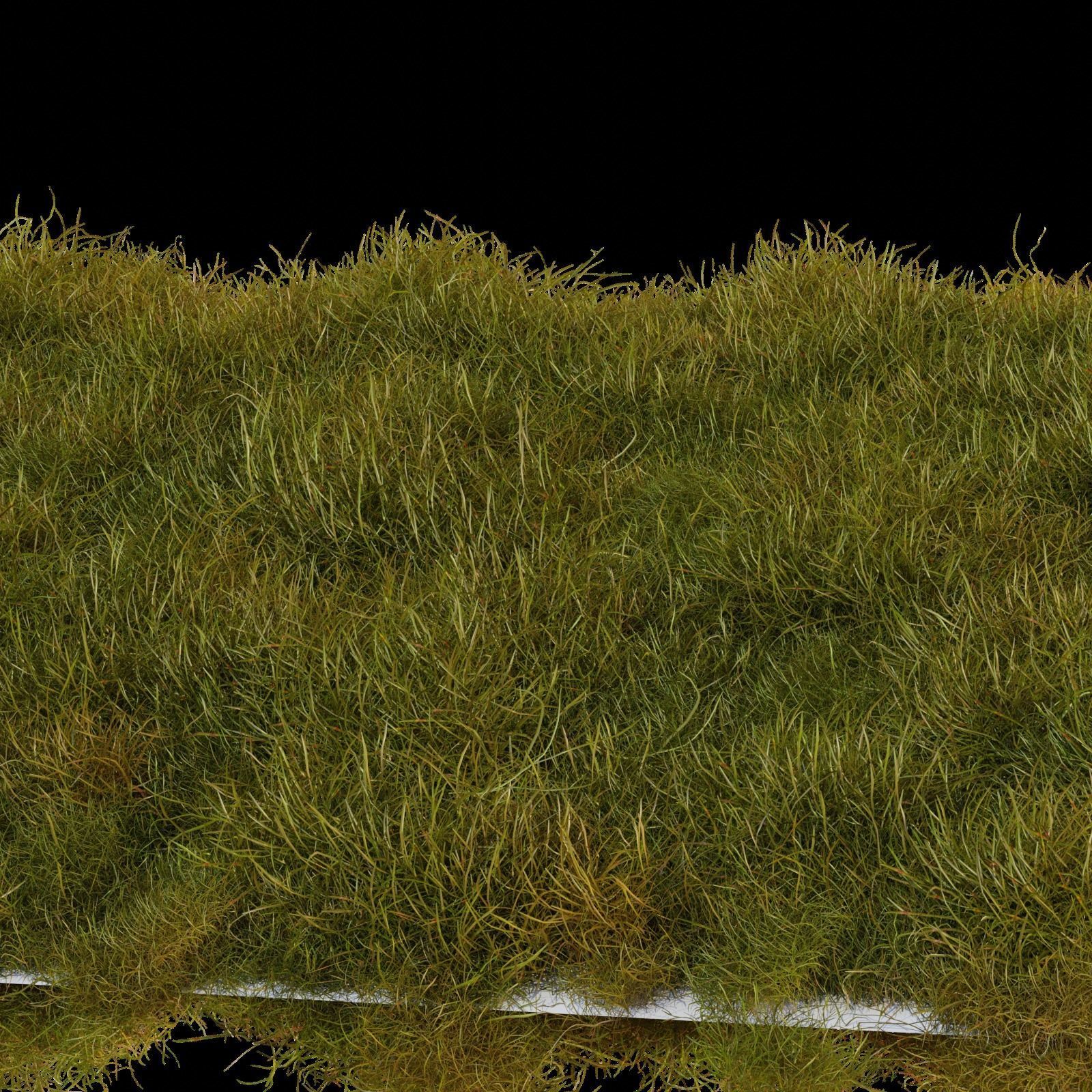 Realistic Grass 3D model | CGTrader