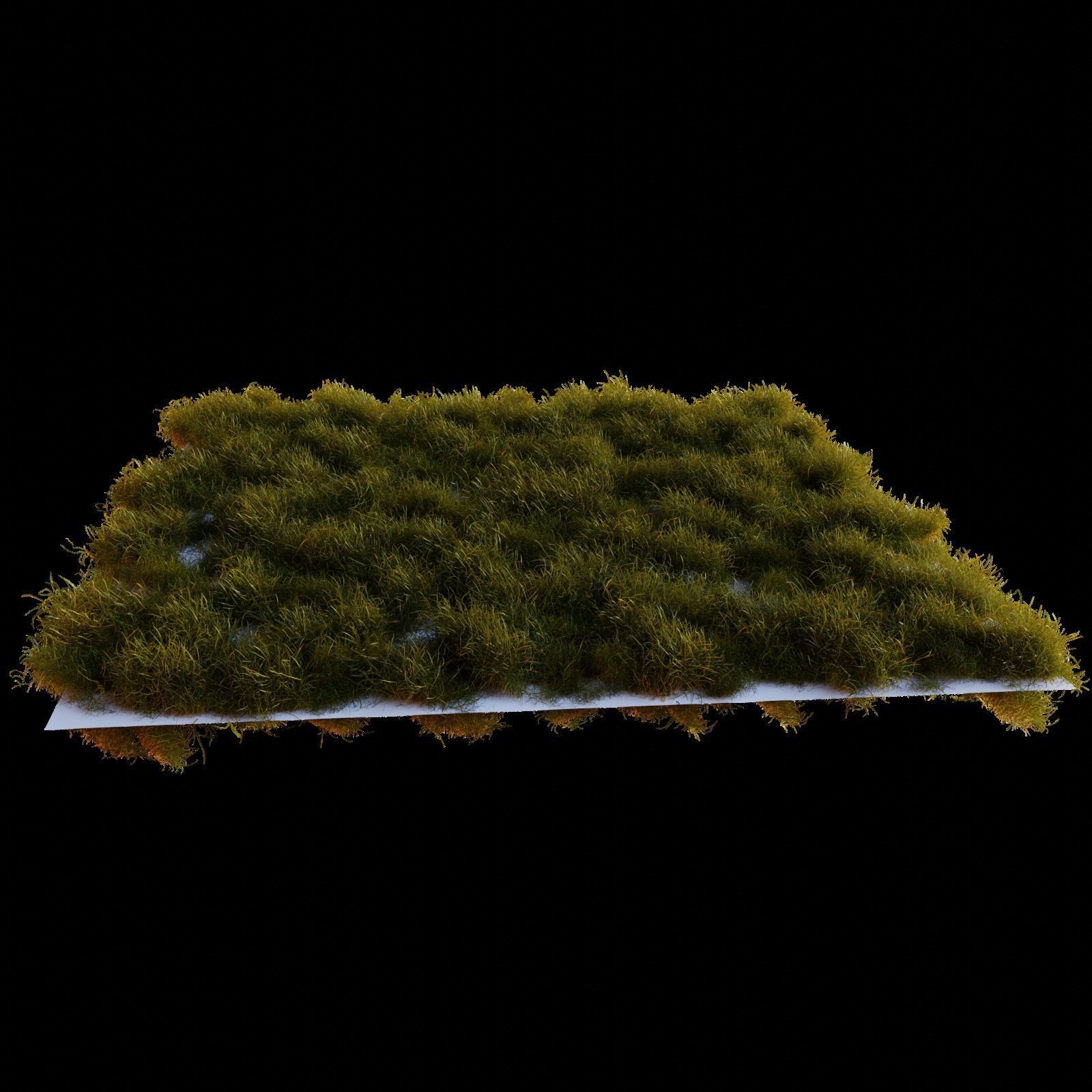 Realistic Grass 3D model | CGTrader