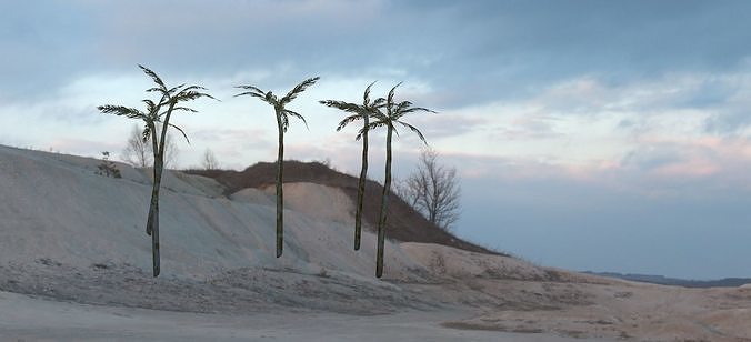 Palm trees Mid resolution to low res for distance shots 3D model | CGTrader