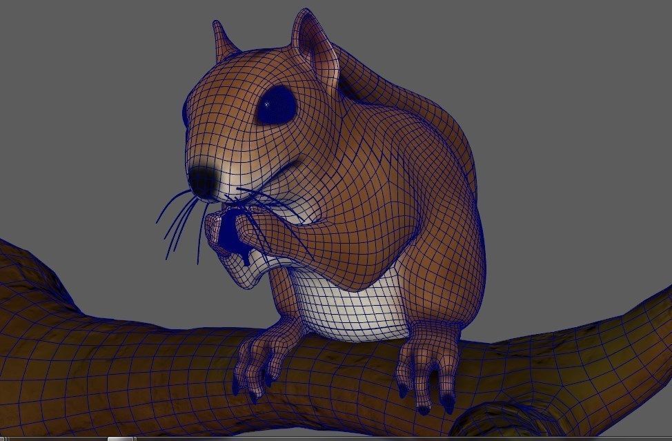 Squirrel free 3D model | CGTrader