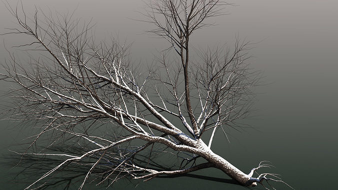 Snow covered trees winter trees with parametric material 3D model ...