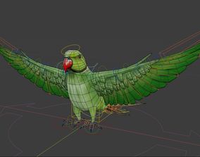 Parakeet 3D Models | CGTrader