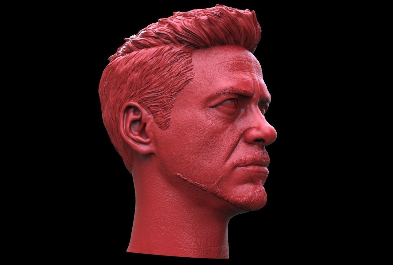 Tony Stark-Robert Downey JR Head 3D model 3D printable | CGTrader