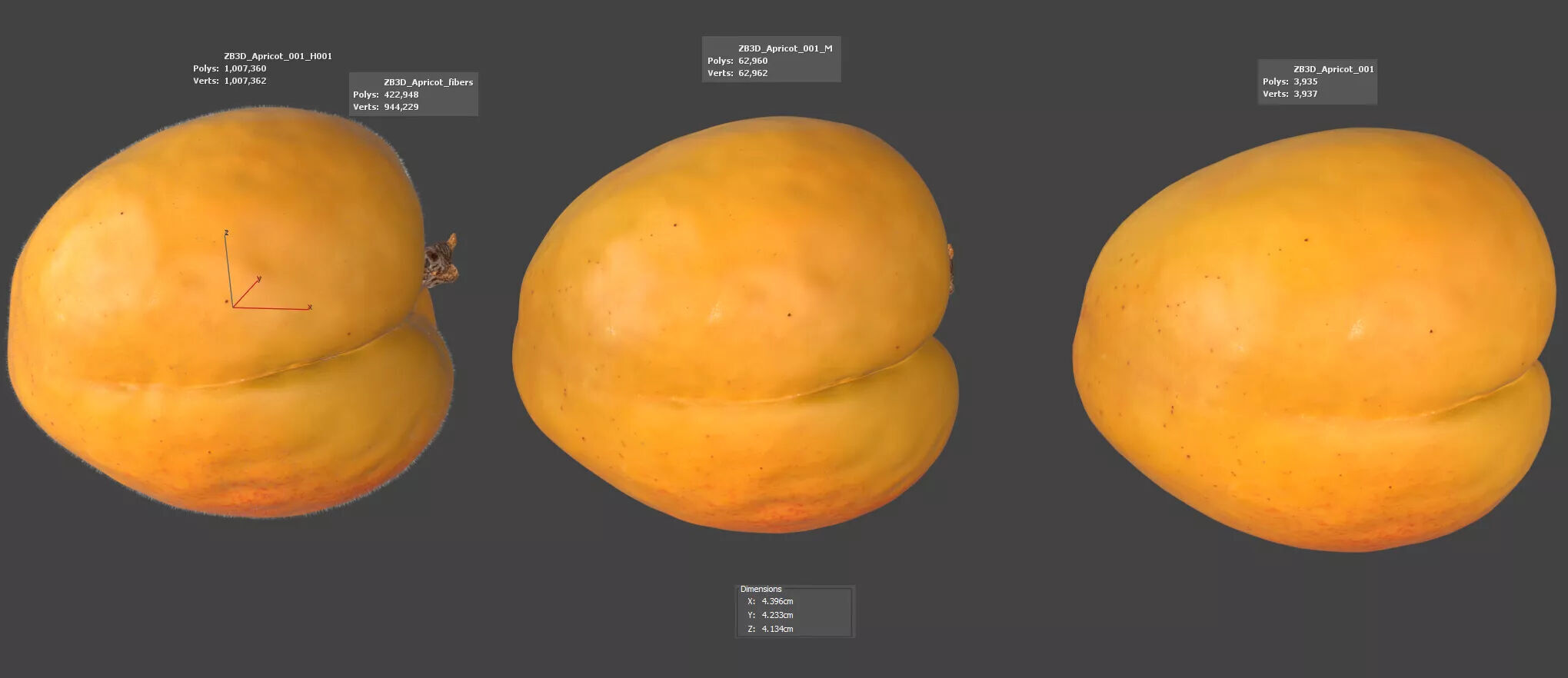 Apricot 3D model | CGTrader