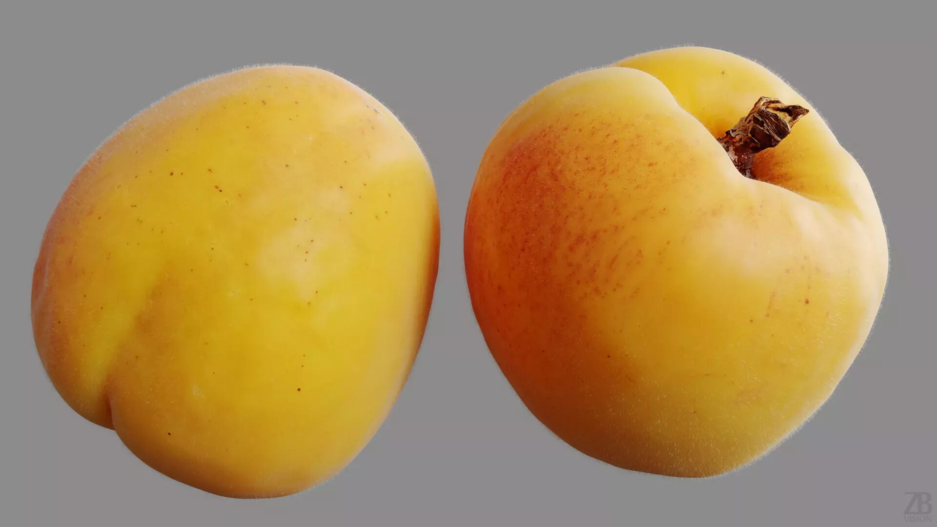 Apricot 3D model | CGTrader