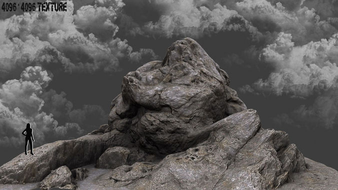 Rock head of tree 3D model | CGTrader