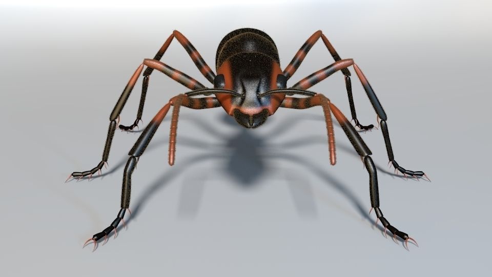 Fire Ant 3D model | CGTrader