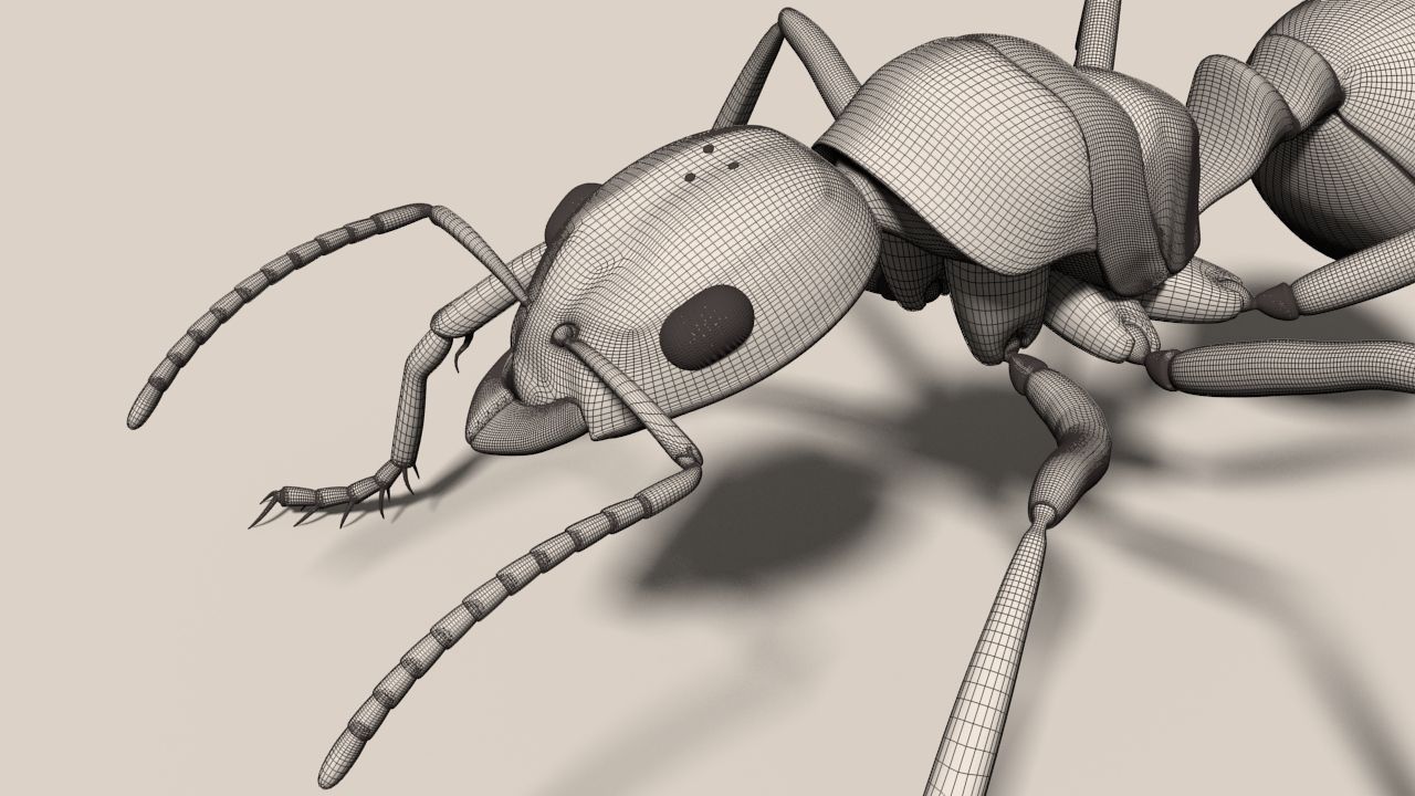 Fire Ant 3D model | CGTrader