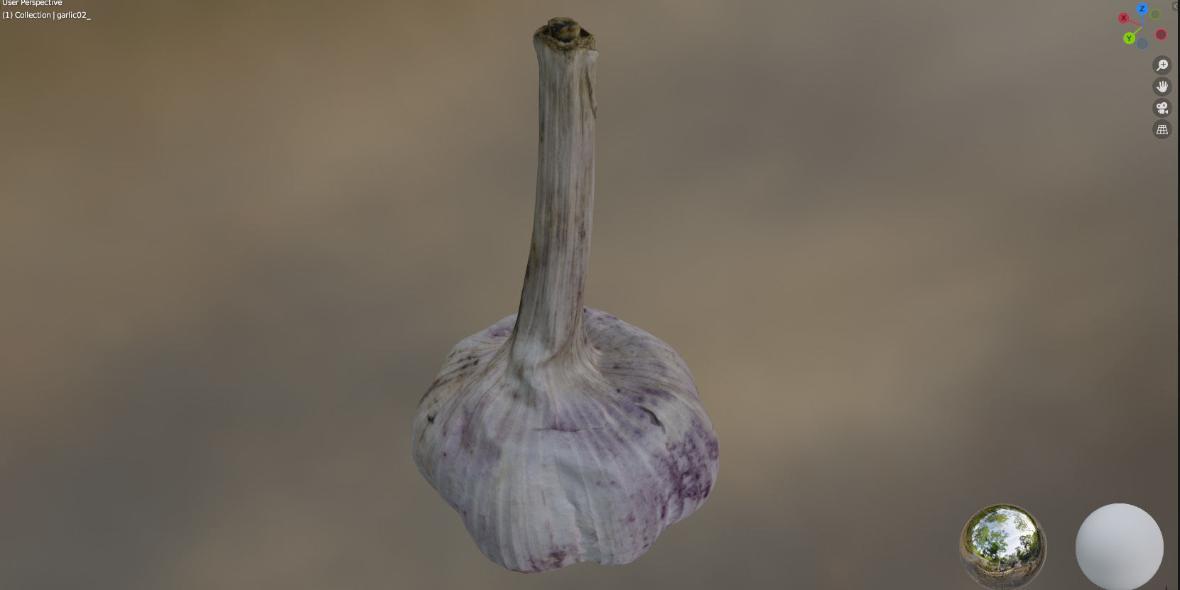 4k Garlic 3D model | CGTrader