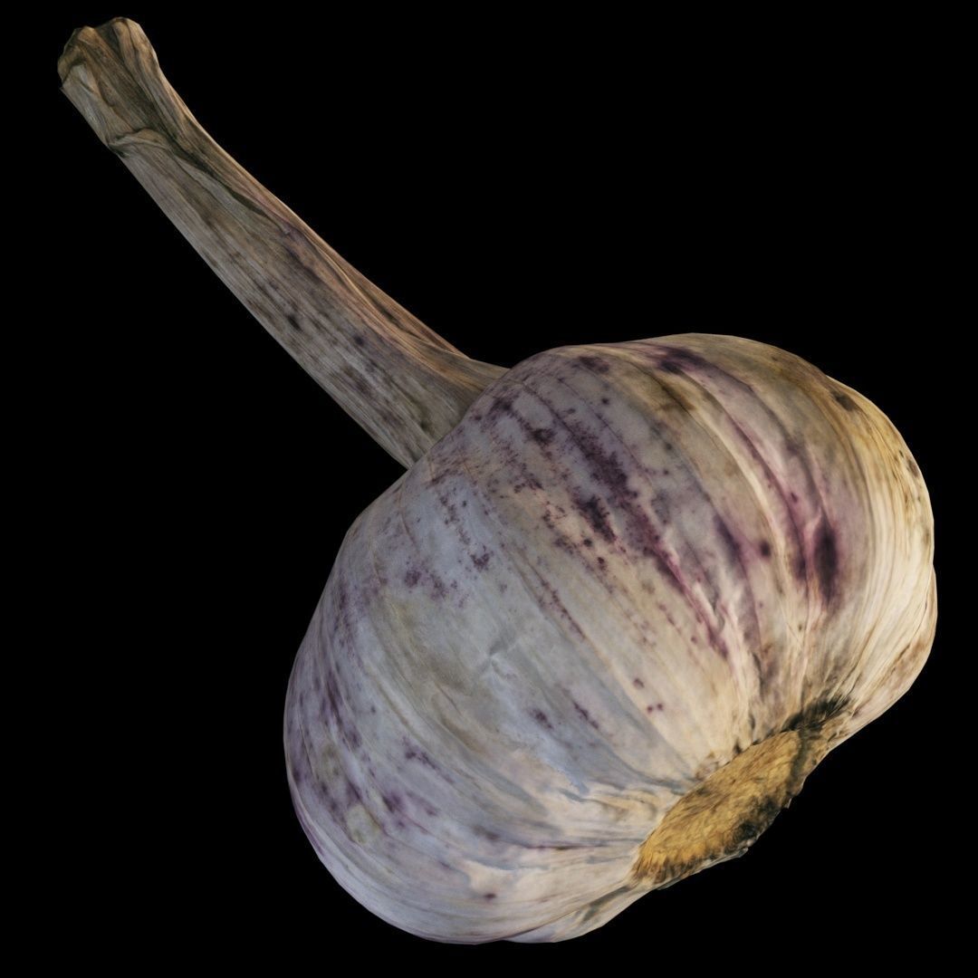 4k Garlic 3D model | CGTrader