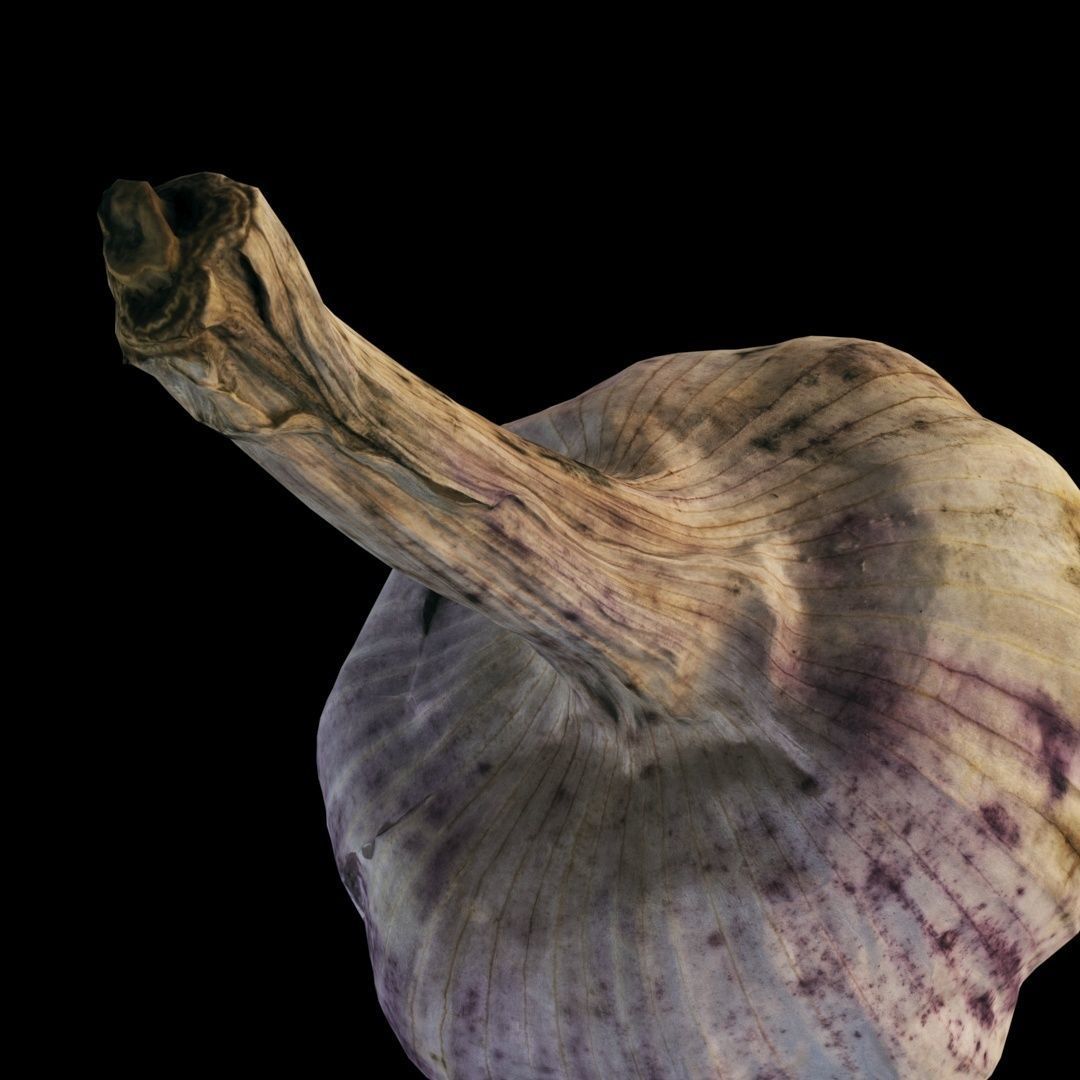 4k Garlic 3D model | CGTrader