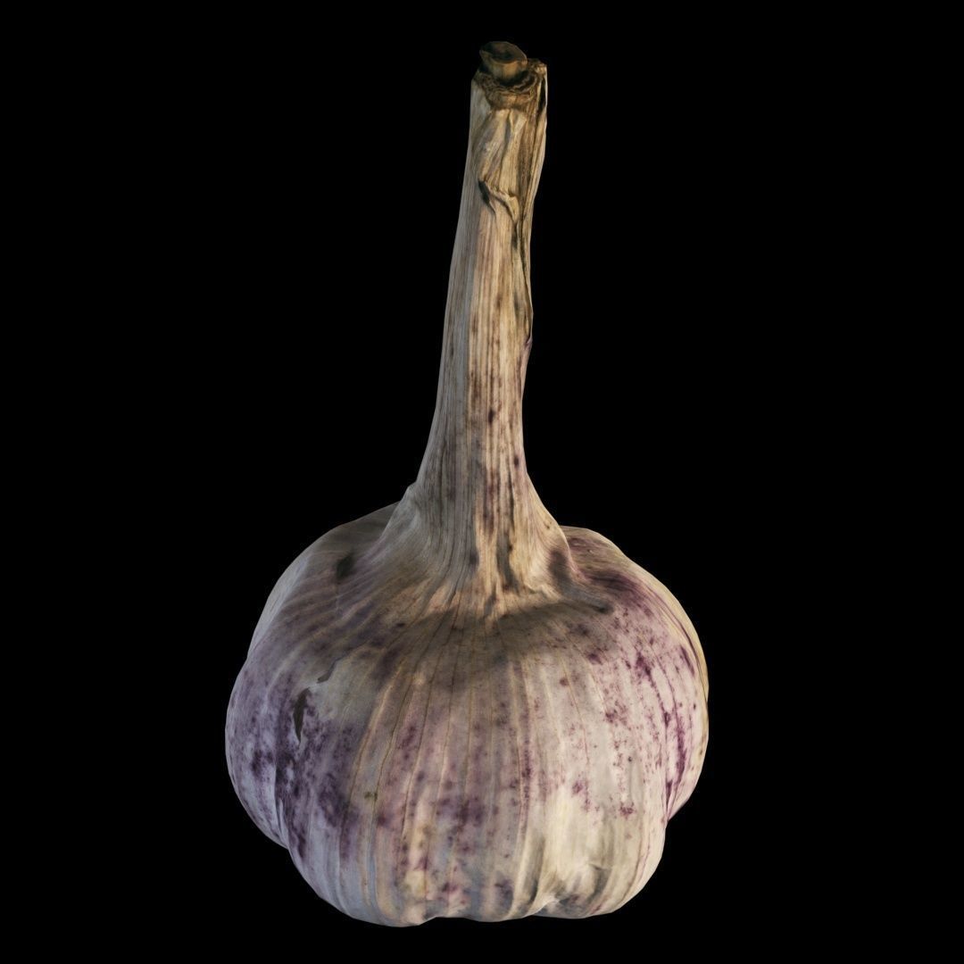 4k Garlic 3D model | CGTrader