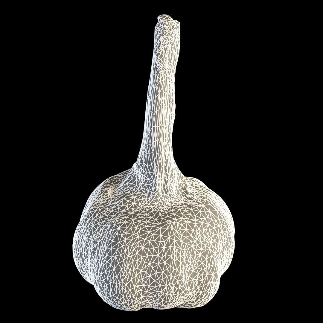 4k Garlic 3D model | CGTrader