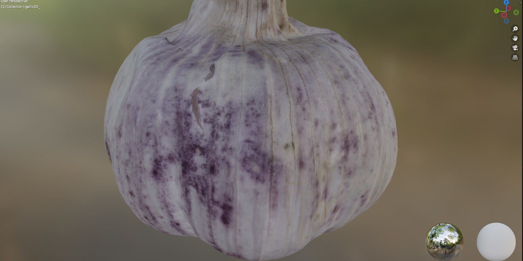 4k Garlic 3D model | CGTrader
