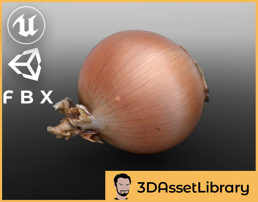 Photoscanned Onion for Unreal and Unity and FBX free VR / AR / low-poly ...