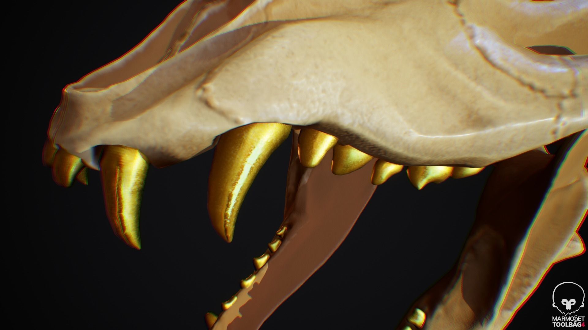 3D model Wolf Skull VR / AR / low-poly | CGTrader