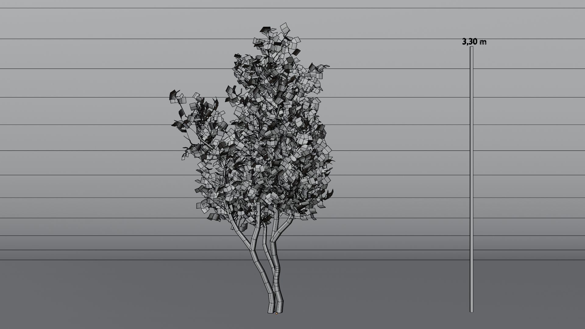 Tree Amelanchier Lamarcki Small free 3D model | CGTrader